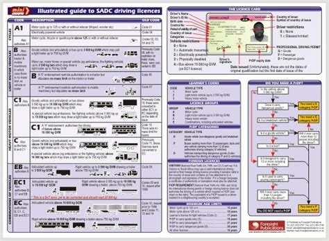 Illustrated Guide To Sadc Driving Licences Arrive Alive