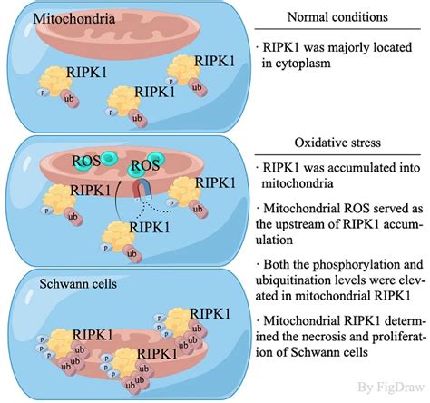 Volume 19 Issue 13 Ijms