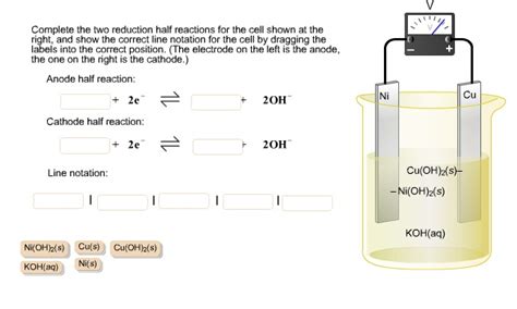 Solved Complete The Two Reduction Half Reactions For The Cell Shown At