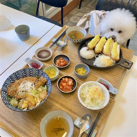 성수동애견동반식당 성수애견동반 성수애동식당 성수동주차 성수동돈까스맛집 네이버 블로그