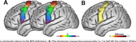 Figure 7 From Connectopic Mapping With Resting State Fmri Semantic Scholar