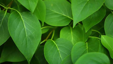 10 SIZZLING HOT Sex Tips