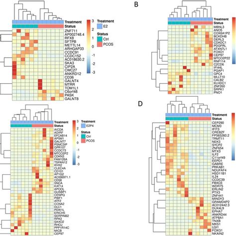 Self Organizing Map Som Clustering Analysis Gene Expression Levels Download Scientific