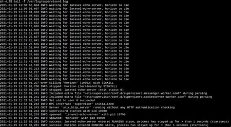 Horizon Duplicate Supervisor Process Issue 957 Laravel Horizon