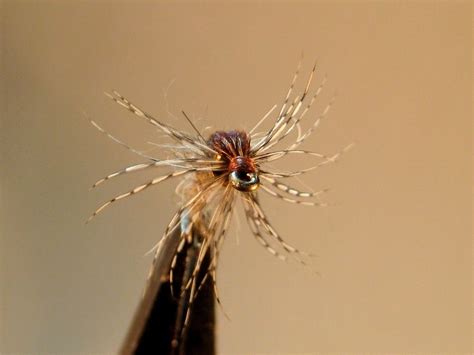 Holy Grail Nymph Sbs Step By Step Patterns Tutorials Artofit