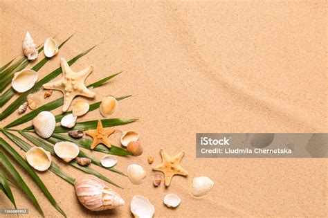 야자수 잎 불가사리 해변 모래에 조개 평면 텍스트 공간이 있는 누워 여름 방학 0명에 대한 스톡 사진 및 기타 이미지 0명 개념 개념과 주제 Istock