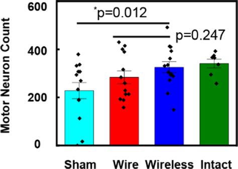 Advanced Materials In Wireless Implantable Electrical Stimulators That