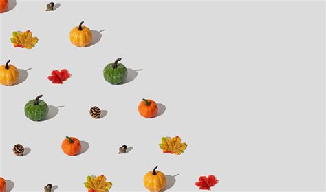 흰색 배경에 호박 노란색과 빨간색 낙엽 견과류와 솔방울로 만든 트렌디 한 가을 또는 가을 패턴 최소한의 가을 오브제 구성 자연