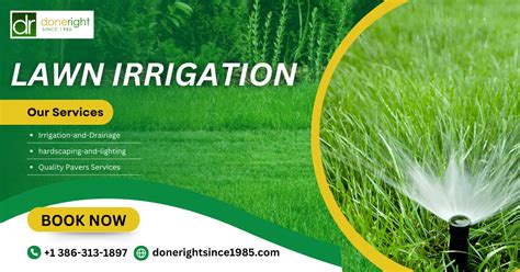 Lawn Irrigation A Full Beginners Guide 2024