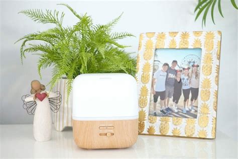 How To Maintain A Diffuser Goodmart
