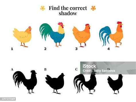닭과 수탉을 올바른 그림자와 일치시키는 어린이 교육 게임 귀여운 만화 가금류와 함께 벡터 그림 0명에 대한 스톡 벡터 아트 및 기타 이미지 Istock