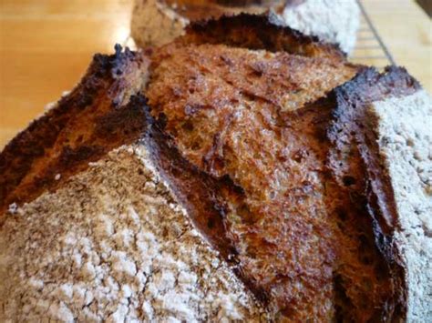 Exorphin Junkie Sex Bread Better Than Viagra For Prolonged Erections