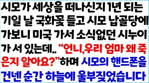 반전사이다사연 시모가 세상을 떠나신지 1년 되는 기일날 국화꽃 들고 시모 납골당에 가보니 미국가서 소식없던 시누이가 서 있는데 언니~ 라디오드라마사연라디오