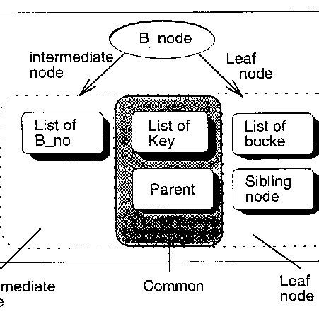 B Node Internal Structure Download Scientific Diagram