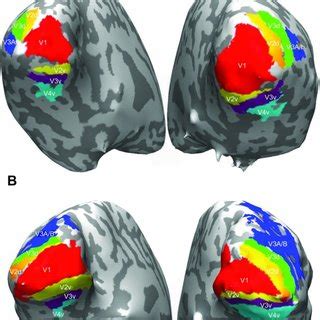 Examples Of Retinotopy Mapping From Two Subjects A B Download Scientific Diagram