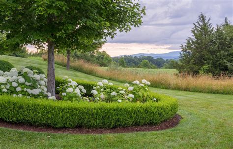 Homepage Stephen W Hackney