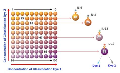 Multiplex Immunoassays Powered By Luminex Xmap Technology Bio Rad