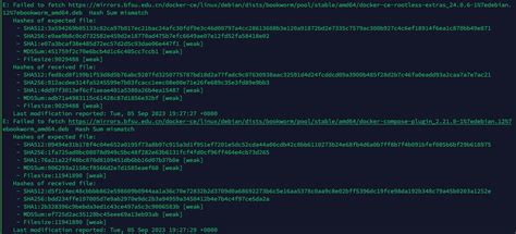 Hash Mismatch On Docker Mirror