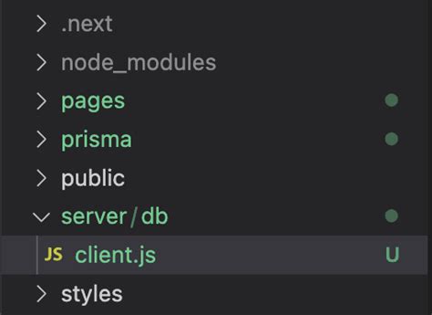 Prisma And Nextjs