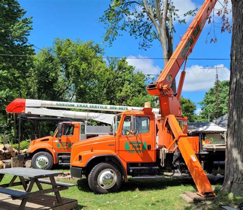 Gallery Tree Removal Service Chatham Kent
