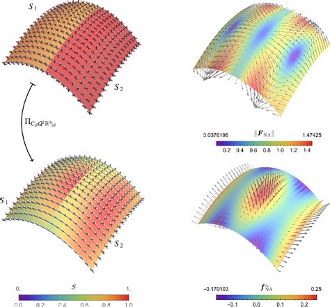 Figure 2 From Active Nematodynamics On Deformable Surfaces Semantic Scholar