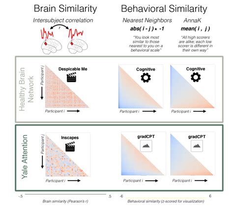 Brain And Behavioral Similarity Matrices Here We Show Similarity Download Scientific Diagram