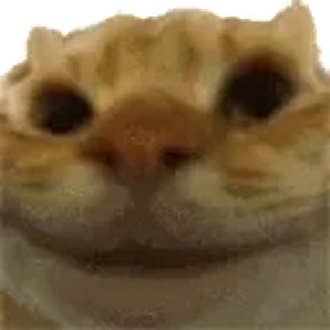 10 Funny Twitch Memes That Will Make You Laugh Twitch Memes Memes