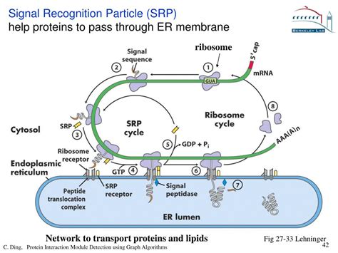 Ppt Protein Interaction Module Detection Using Matrix Based Graph Algorithms Powerpoint