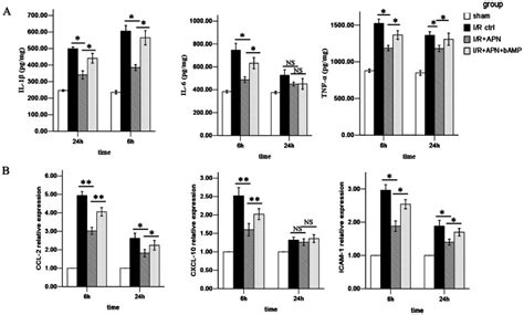 A Il 1β Il 6 And Tnf α Were Detected By Elisa In Liver Tissue Of The Download Scientific