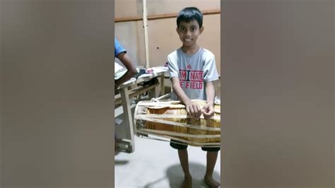 කම්පනය වන ආකාරය අනුව සංගීත භාණ්ඩ වර්ග කිරීම Type Of Music Instrument