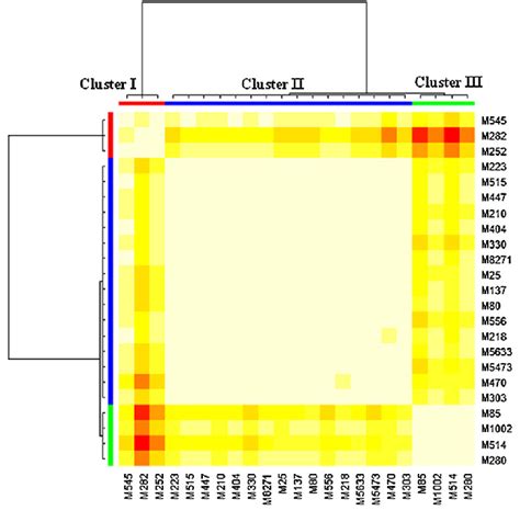 Clustered Markers Based On Their Preferences Towards Alleles Download
