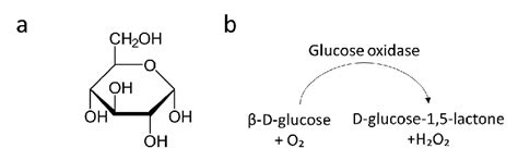 A Glucose Molecular Structure B Glucose Catabolism By The Enzyme