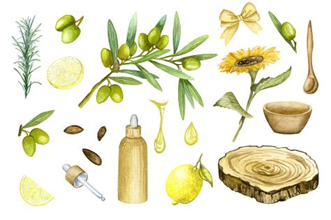 올리브 오일 세트 손으로 그린 수채화 프로방스 이탈리아 크림 및 세럼 화장품 음식 및 주방 레스토랑 메뉴 요리 제품 포장 섬유 수건 건강한 생활방식에 대한 스톡 벡터 아트