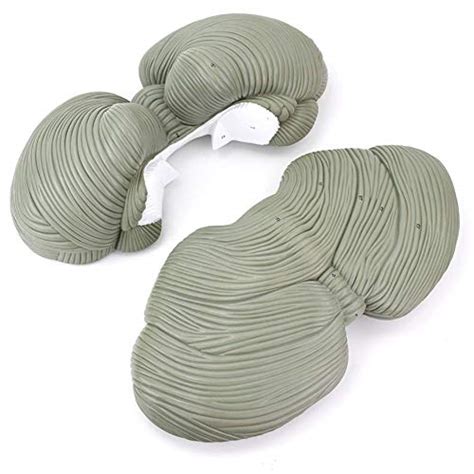 Teaching Model 10 Scientific Human Anatomy Human Cerebellum Structural Anatomical Model