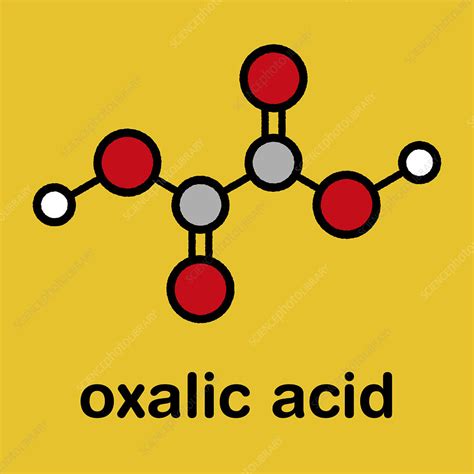 Oxalic Acid Lewis Structure