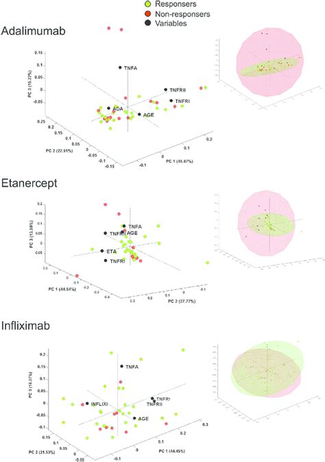 principal component analysis bi plot loadings and scores the spatial