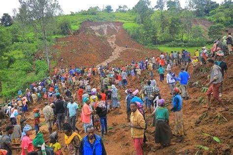 Ethiopia Devastating Landslide In Gamo Claims Over 229 Lives