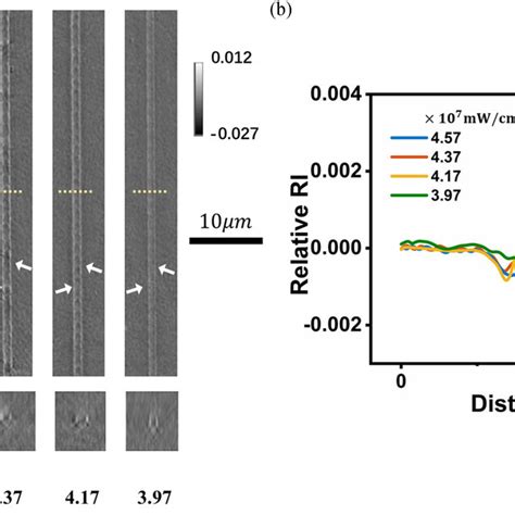 3d Reconstruction Of Refractive Index For Five Parallel Waveguides