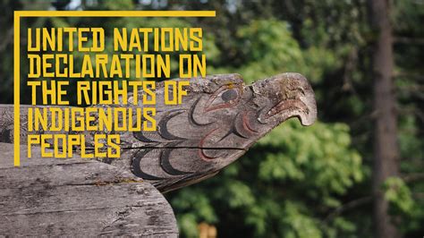 Ernie Daniels Undrip Implementation Fnfa