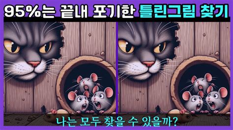 틀린그림 찾기 32 치매초기는 절대 못 찾습니다 다른그림 찾기 🎵 퀴즈 차차차 Find Difference Quize Chachacha Youtube