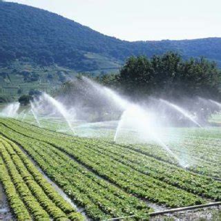 PDF A Low Cost Smart Irrigation Control System PDF A Low Cost Smart Irrigation Control System