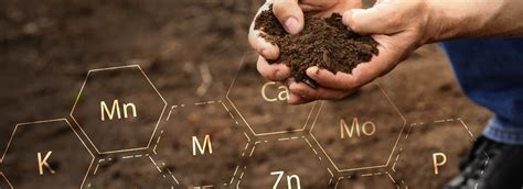 Mining Projects Canadian Phosphate