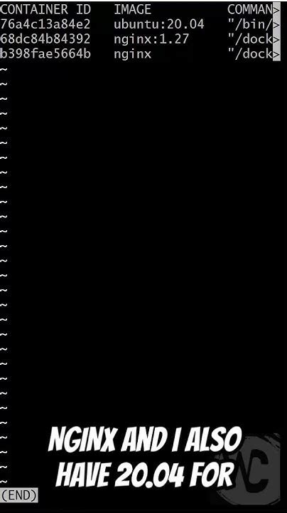 Docker Ps Coding Linux Docker Dockertutorial Youtube