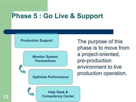 Asap Methodology Sap Project Management Ppt