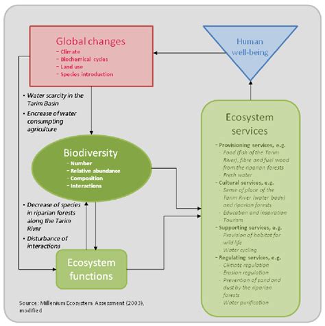 Ecosystem Functions And Ecosystem Services As Discussed In The SuMaRiO Download Scientific