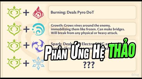 PhẢn Ứng NguyÊn TỐ ThẢo Những Phản Ứng Cơ Bản Và Nâng Cao Bécon Genshin Impact Youtube