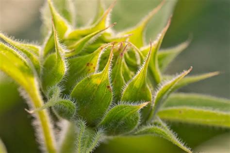 Increasing Color Accuracy With Advanced Calibration Techniques