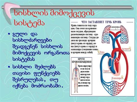 სისხლისა და ლიმფის მიმოქცევის სისტემა Ppt