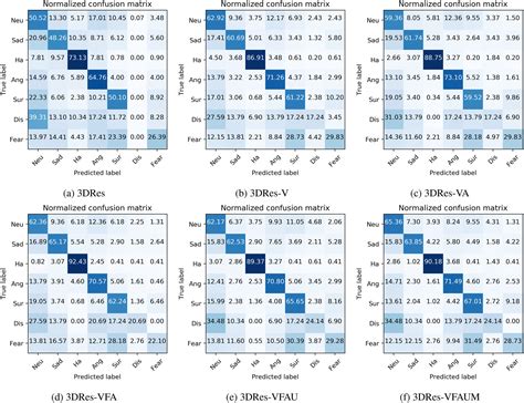 Dynamic Facial Expression Recognition With Pseudo‐label Guided Multi‐modal Pre‐training Yin