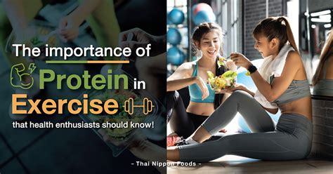The Importance Of Protein In Exercise Thai Nippon Foods